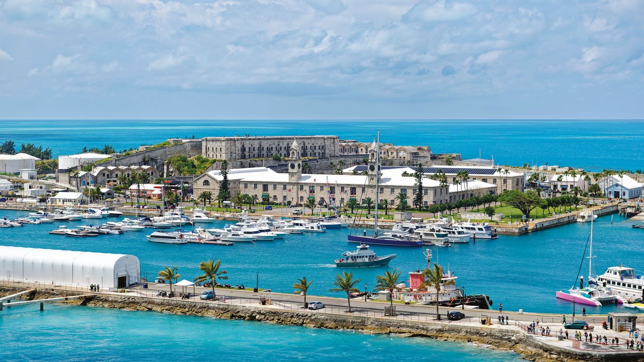 Pier 41 - Superyacht Marina | Dockwalk